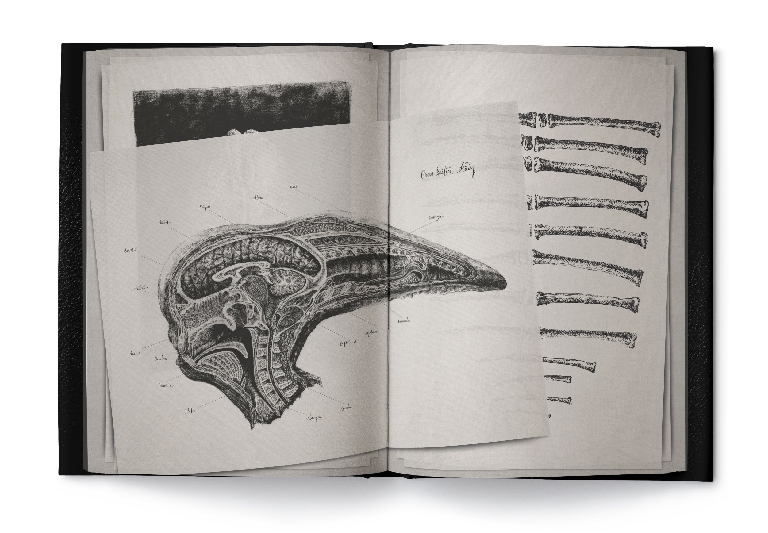 Артбук «Alien Covenant: David’s Drawings» [ENG] [ USA IMPORT ]